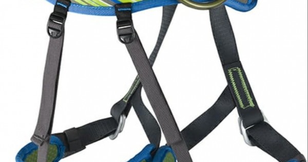 Camp Topaz Climbing Harness
